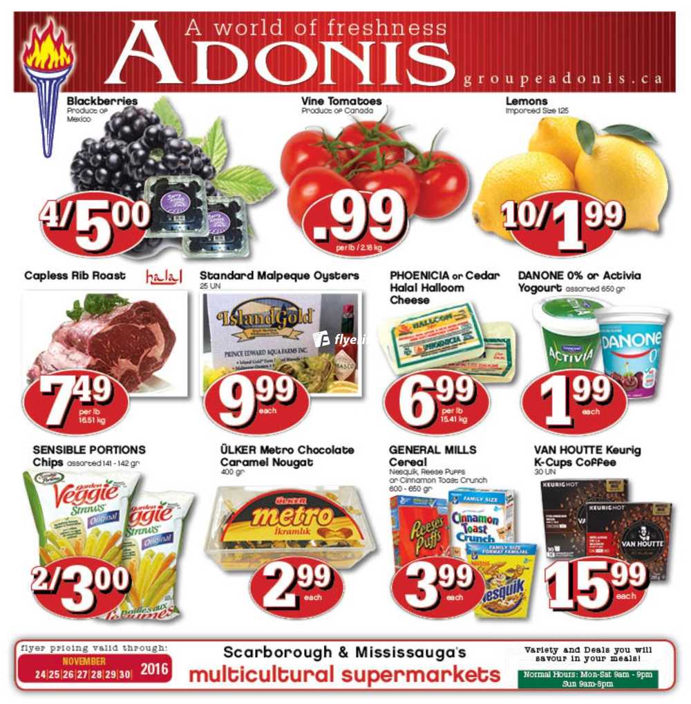 Marche Adonis Flyers