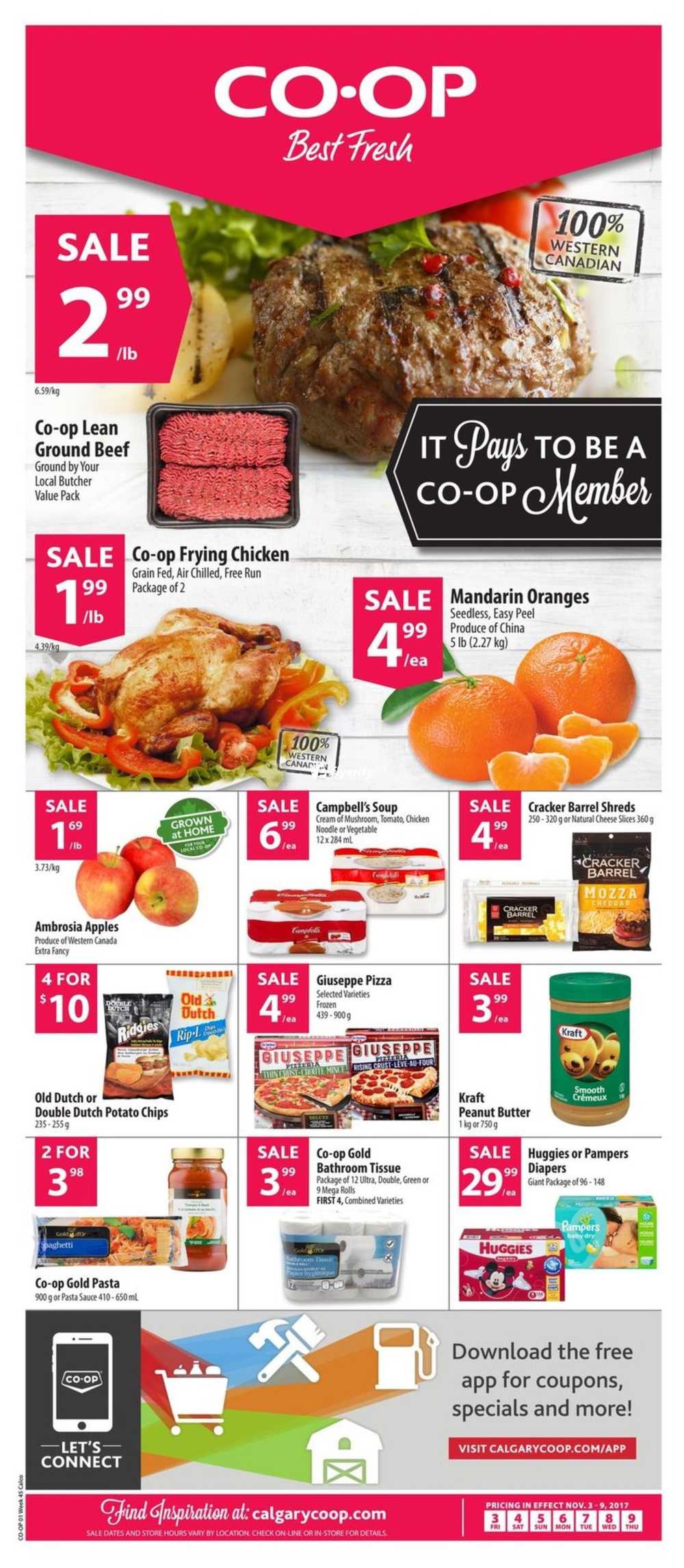 Co-op West Flyers